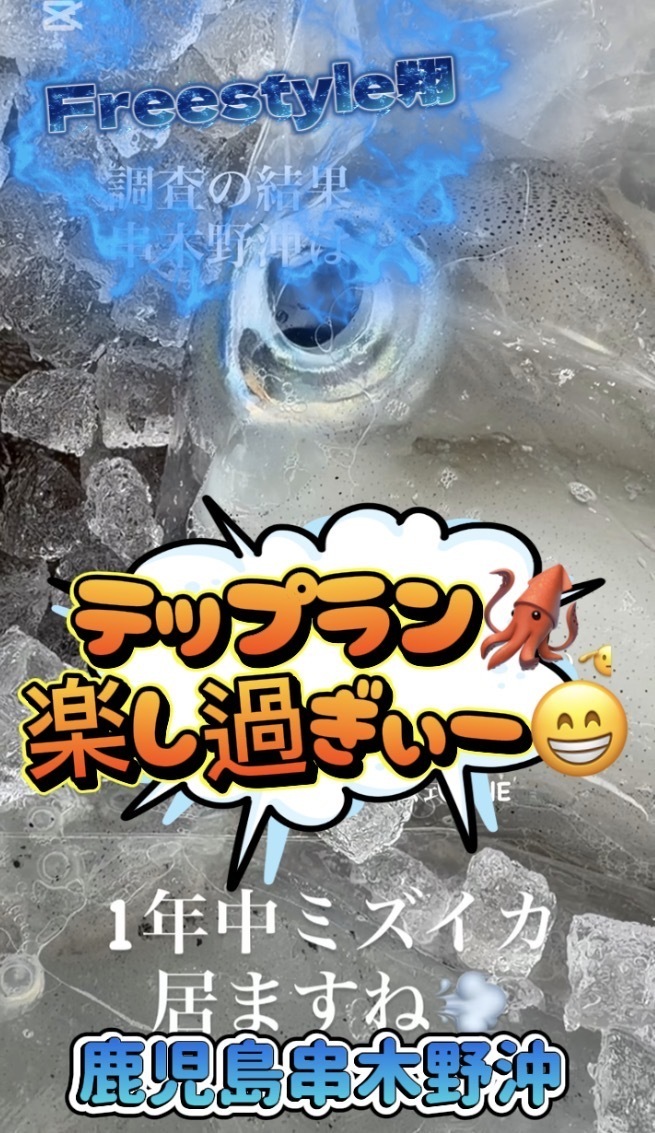 Freestyle翔では、1年中ミズイカ狙っていますー！！: Freestyle翔の航海日記